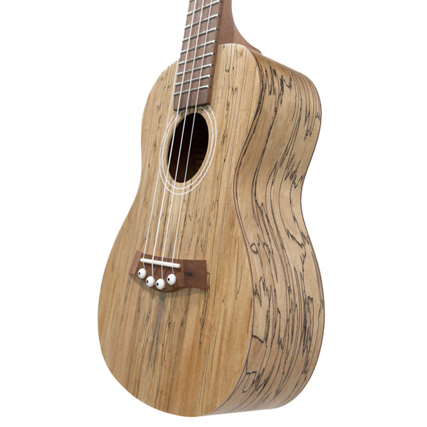 Honolua Ukuleles Honu Limited Edition Spalted Maple Concert Ukulele HO ...